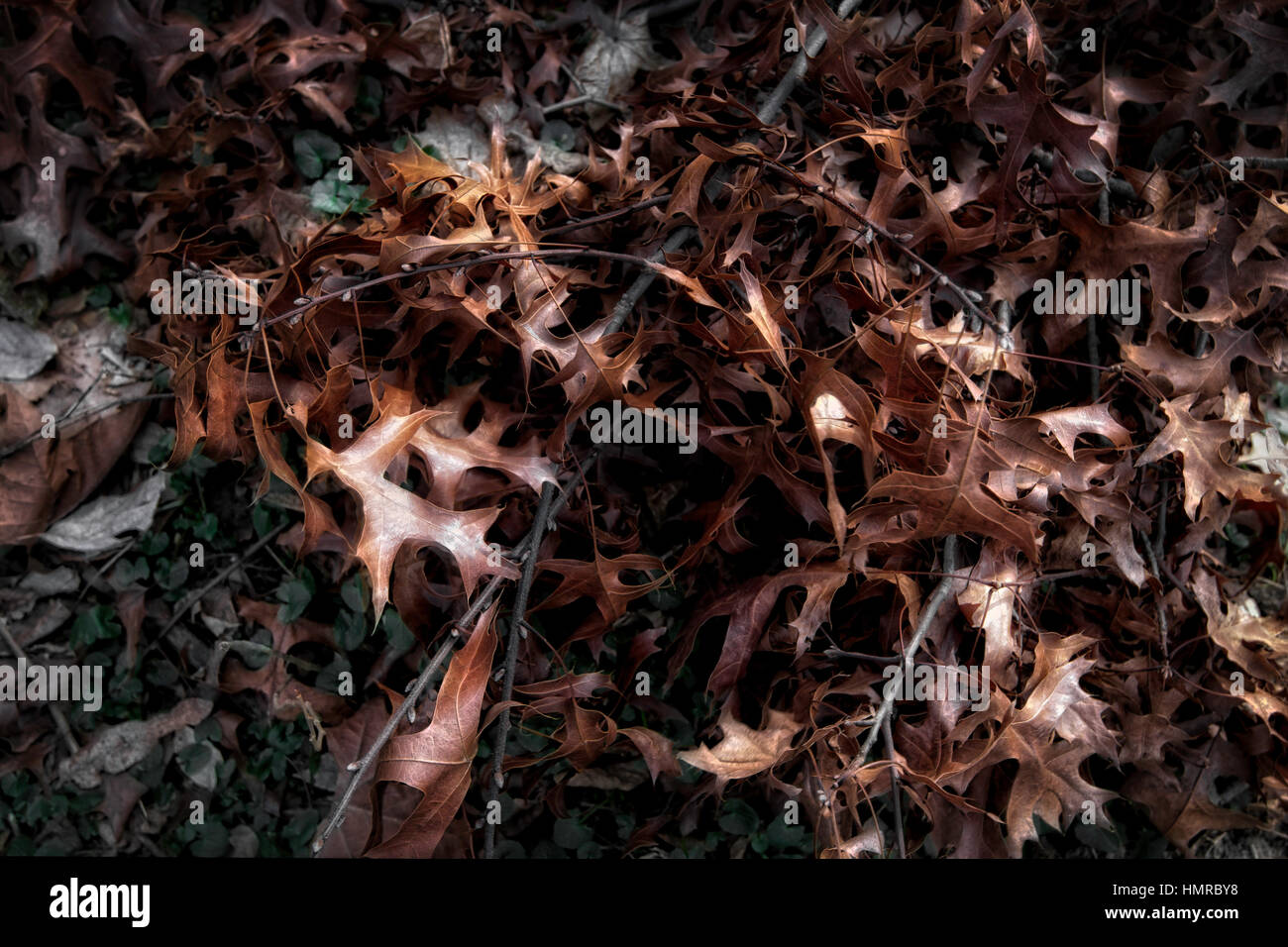 Outdoor nature landscapes Stock Photo - Alamy