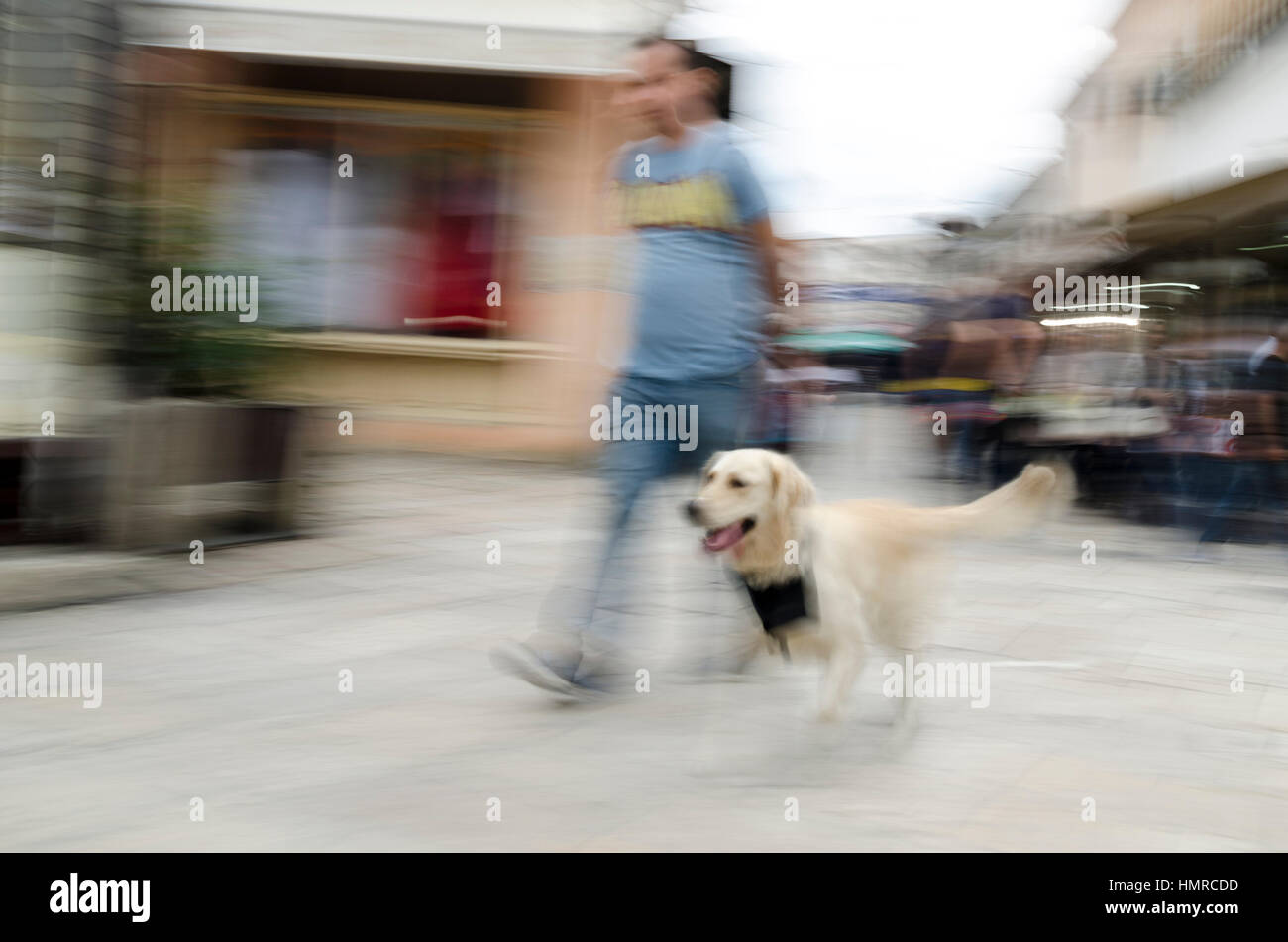 Motion blur animals hi-res stock photography and images - Alamy
