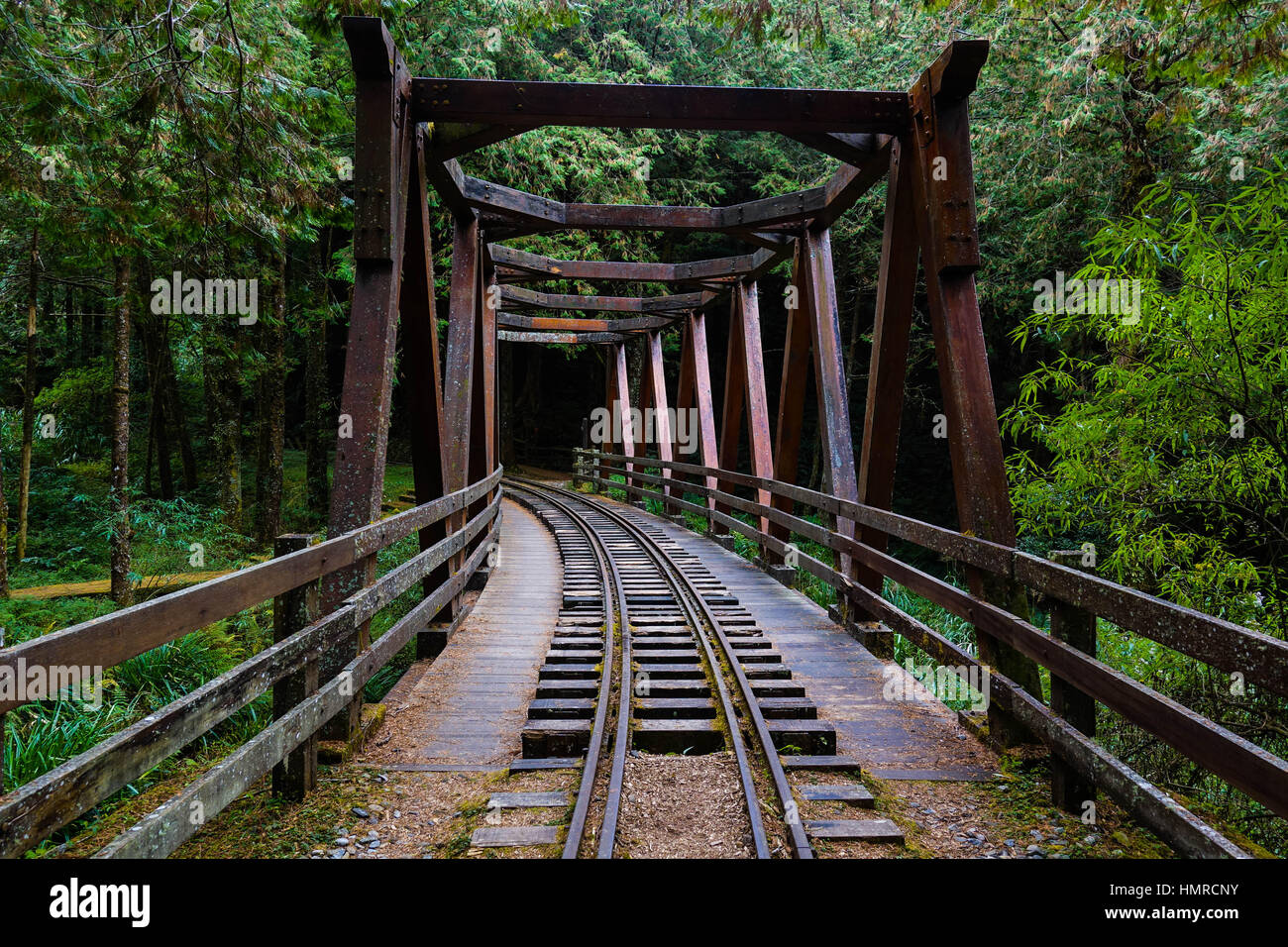 Bridge in Alishan National Forest Stock Photo - Alamy