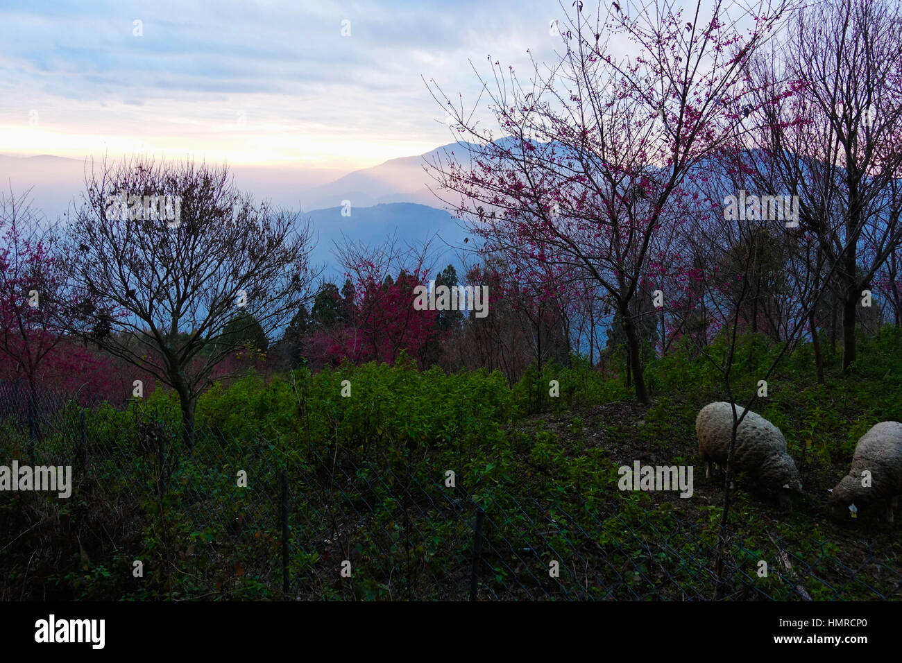 Jing jing hi-res stock photography and images - Alamy