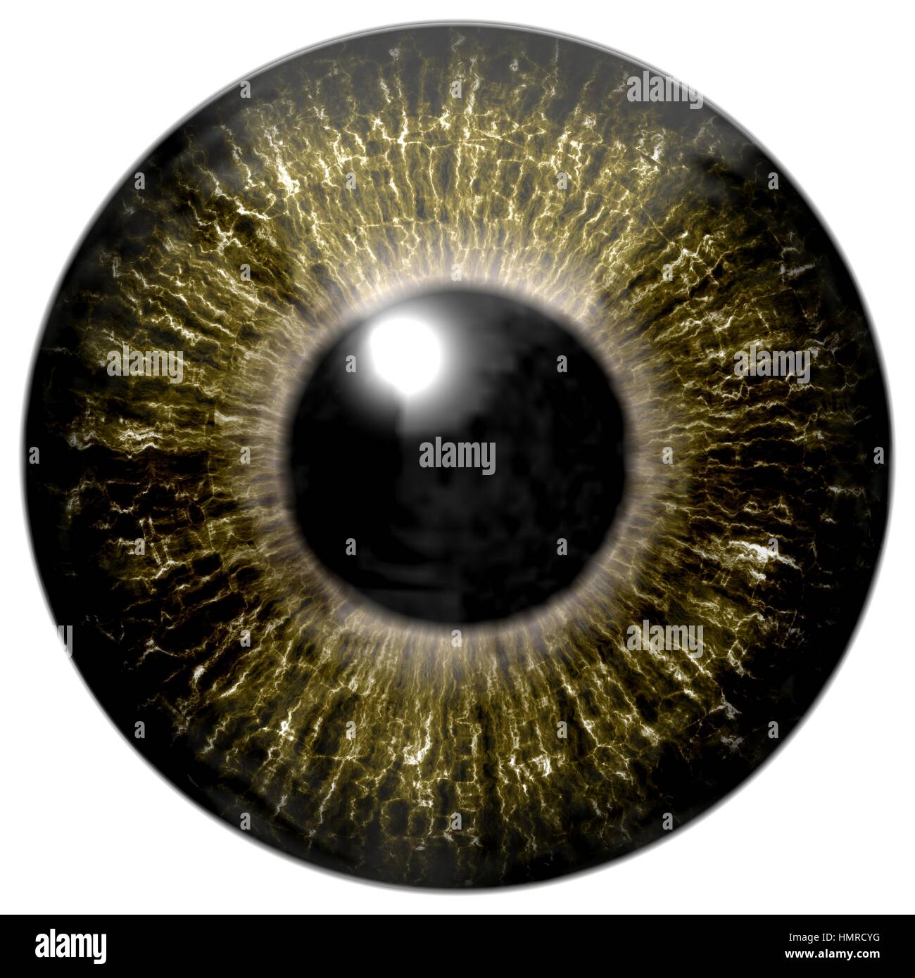 Realistic colorful eye iris texture Stock Photo - Alamy