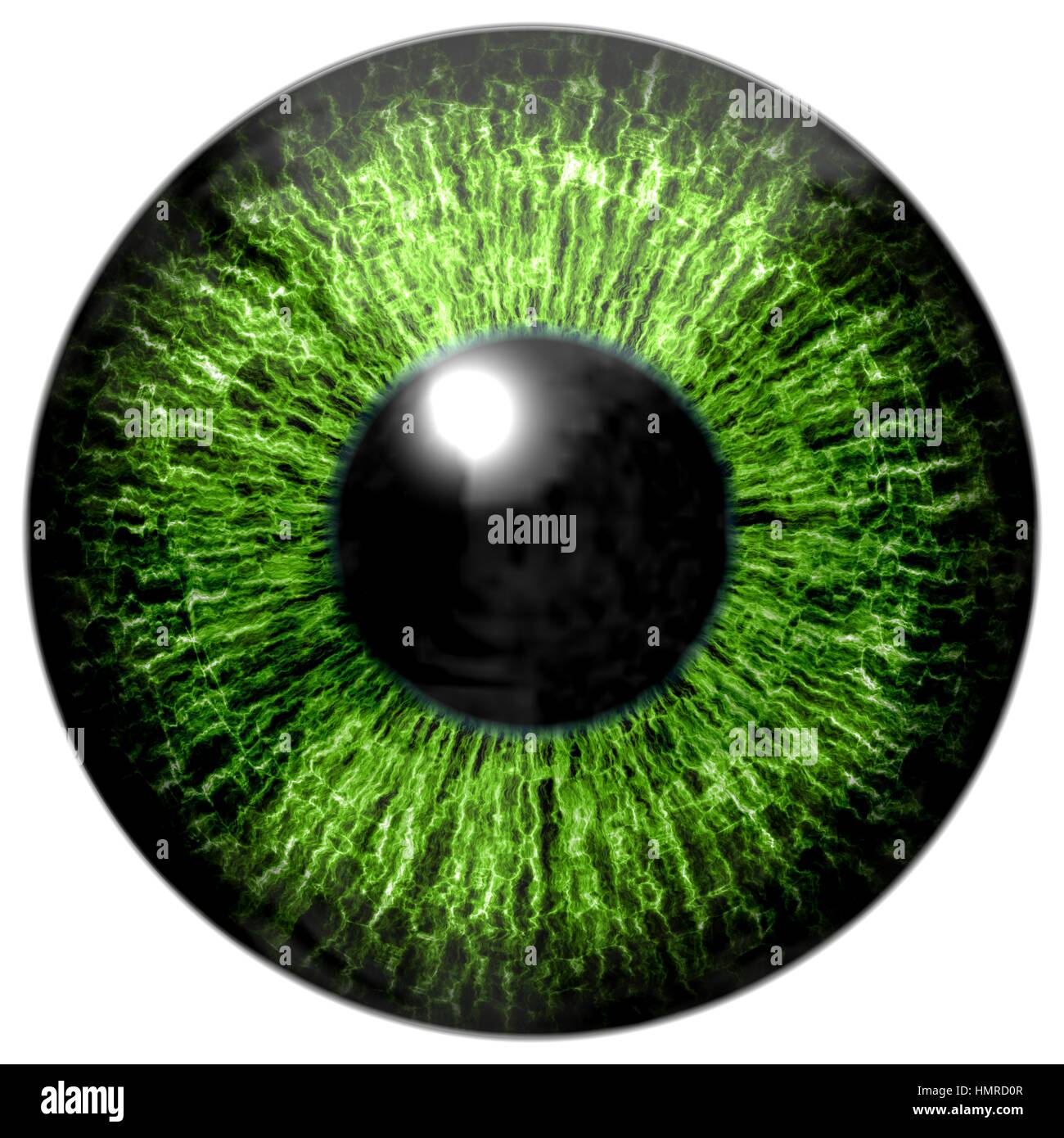 Realistic colorful eye iris texture Stock Photo - Alamy