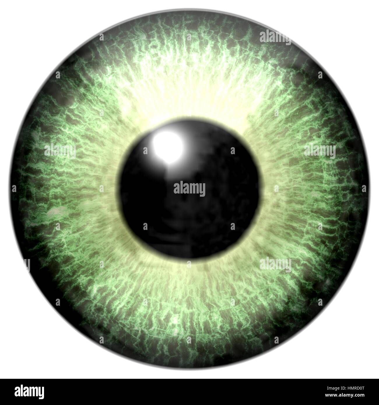 Realistic colorful eye iris texture Stock Photo - Alamy