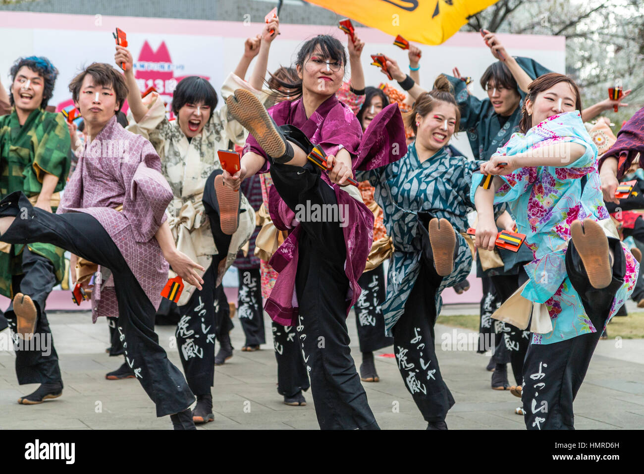 Yosakoi dance festival. Dance team in different coloured yukata dancing ...