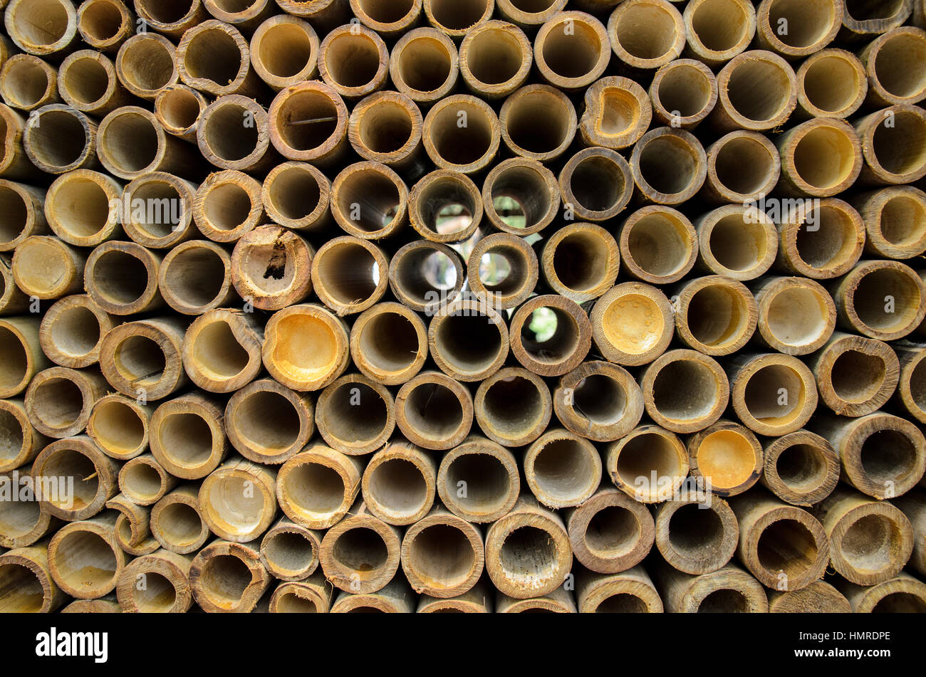 Bamboo paper pulp hi-res stock photography and images - Alamy