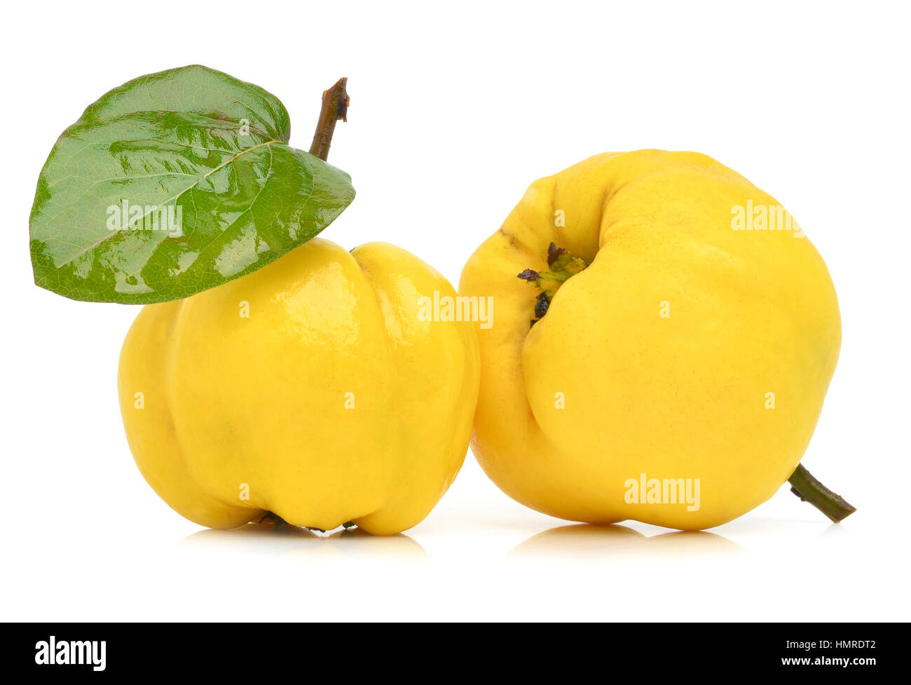 Ripe yellow quinces isolated on a white background Stock Photo - Alamy