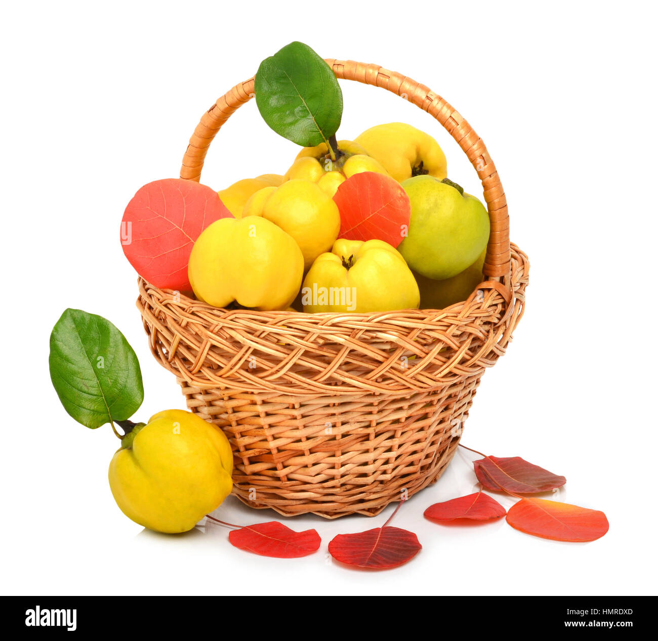 Ripe quince in the basket and autumn red leaves isolated on white Stock ...