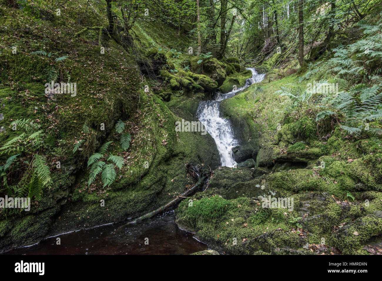 Hafod ceredigion hi-res stock photography and images - Alamy