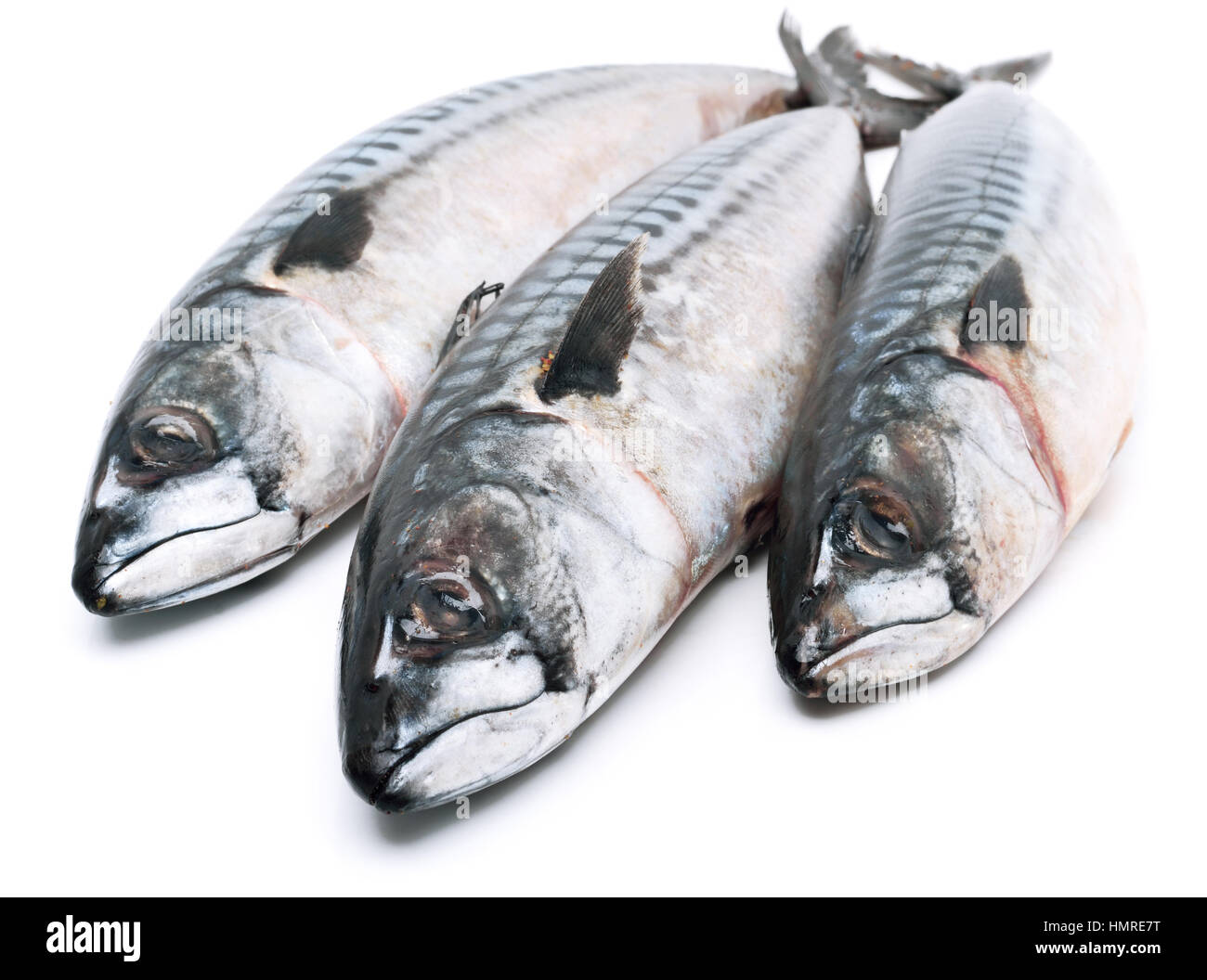 Mackerels isolated hi-res stock photography and images - Alamy