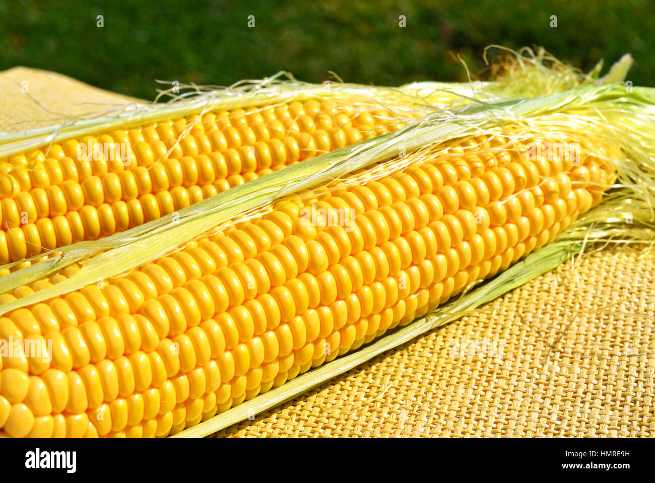 Ears of ripe corn on the sacking Stock Photo - Alamy