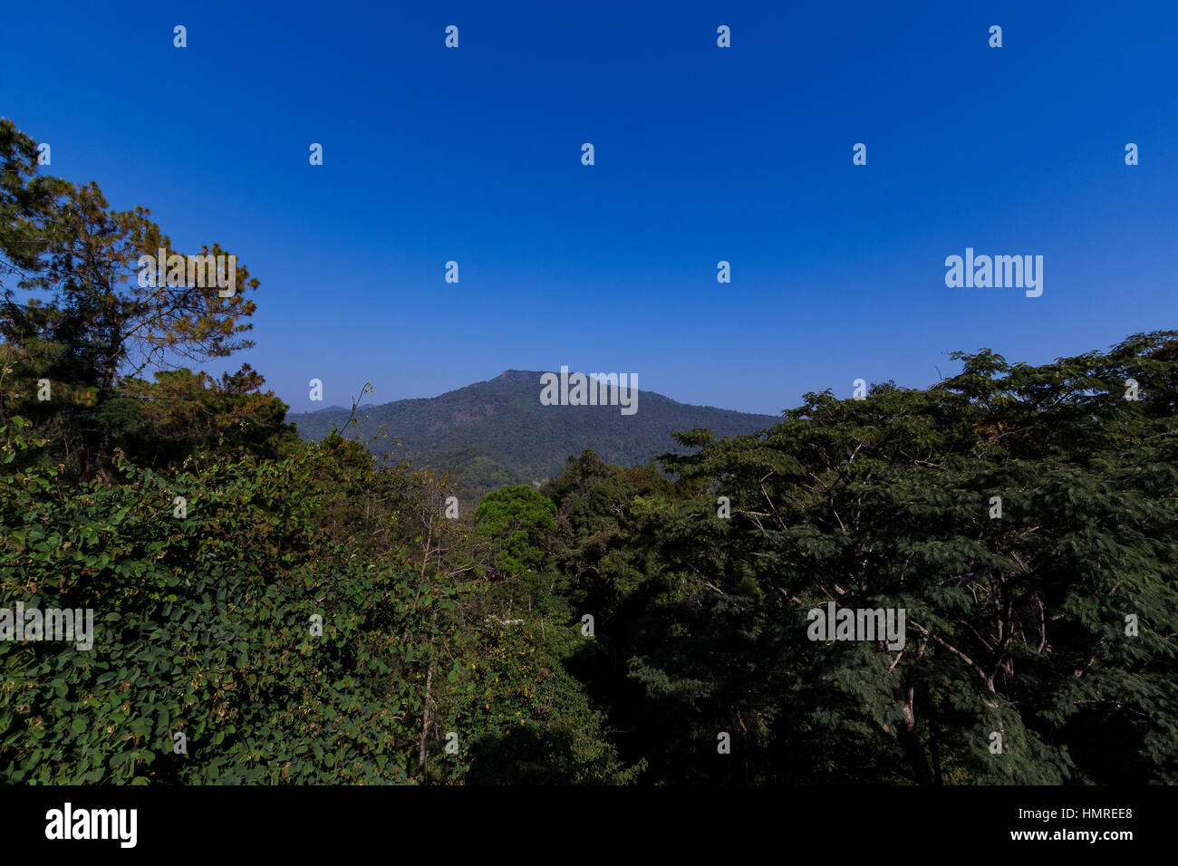 View Point of Queen Sirikit Botanic Garden in Mae Rim, Chiang Mai ...