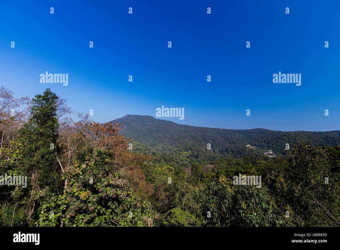 View Point of Queen Sirikit Botanic Garden in Mae Rim, Chiang Mai ...