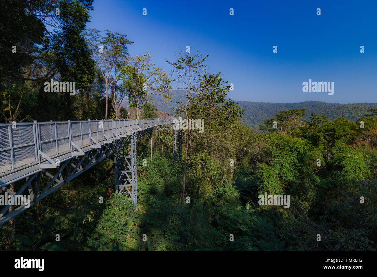 The Canopy walkway at Queen Sirikit Botanic Garden in Mae Rim, Chiang ...