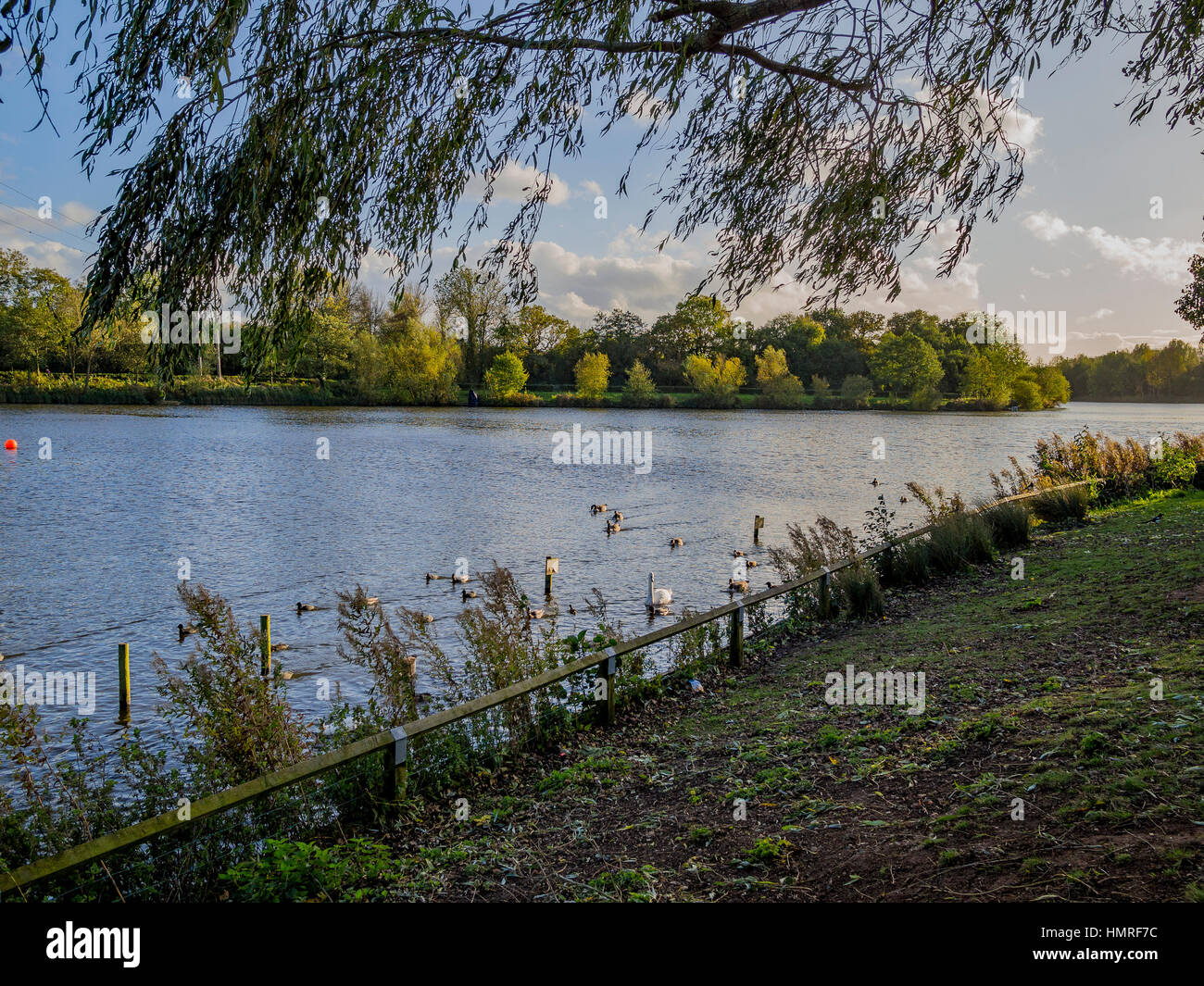 arrow valley country park redditch worcestershire england uk Stock ...