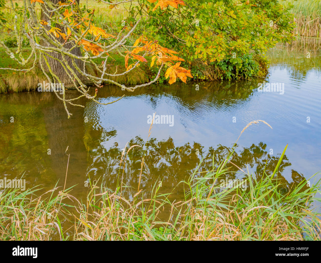 lake river water autumn Stock Photo - Alamy