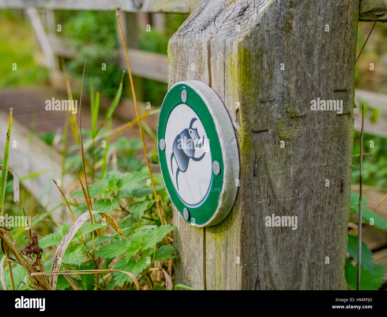 estate uk stately home Stock Photo - Alamy
