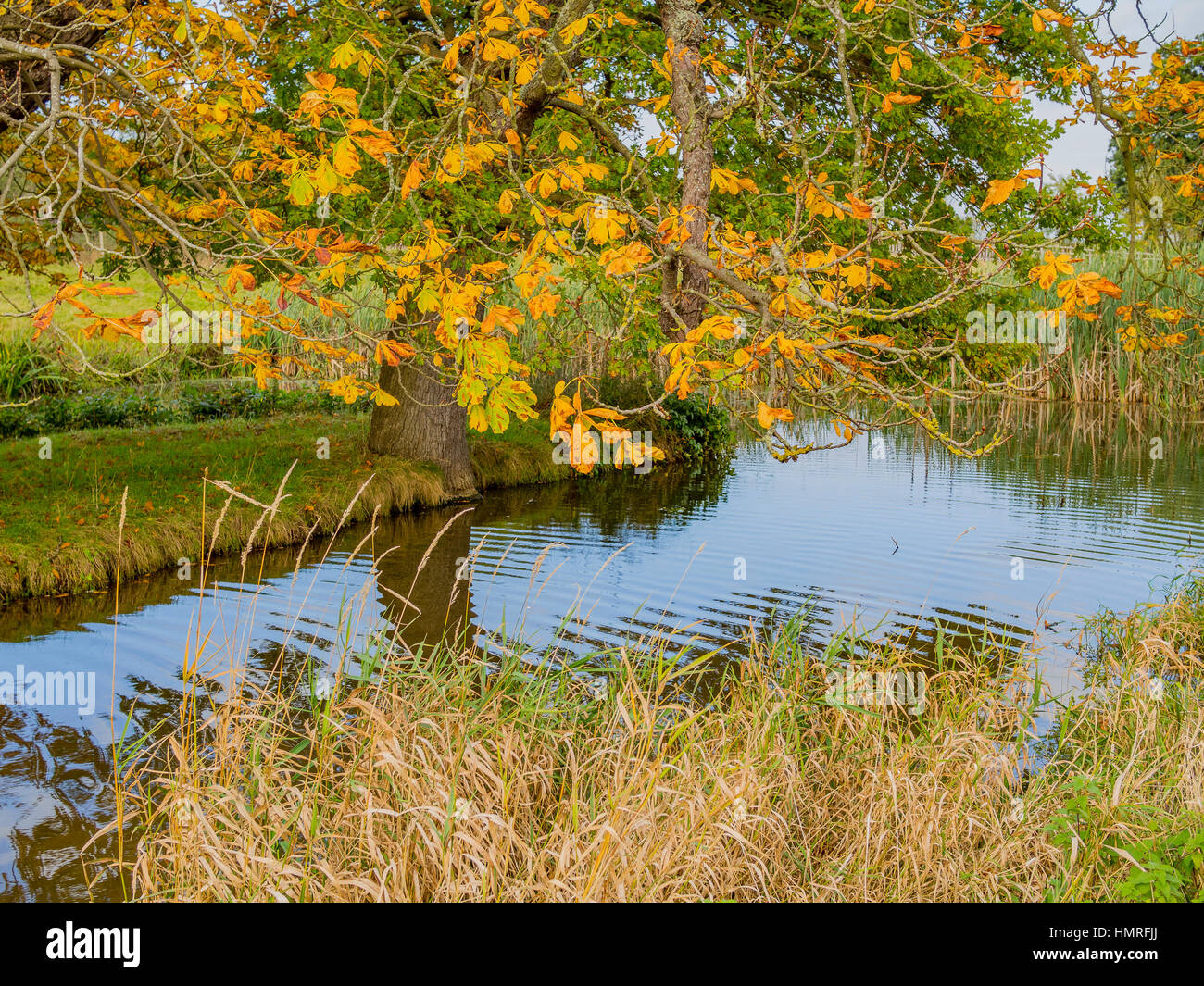lake river water autumn Stock Photo - Alamy