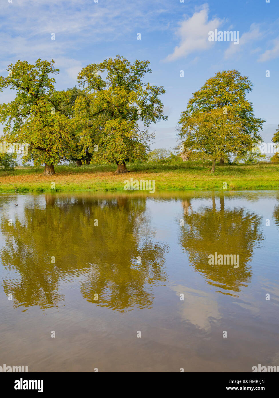 lake river water autumn Stock Photo - Alamy