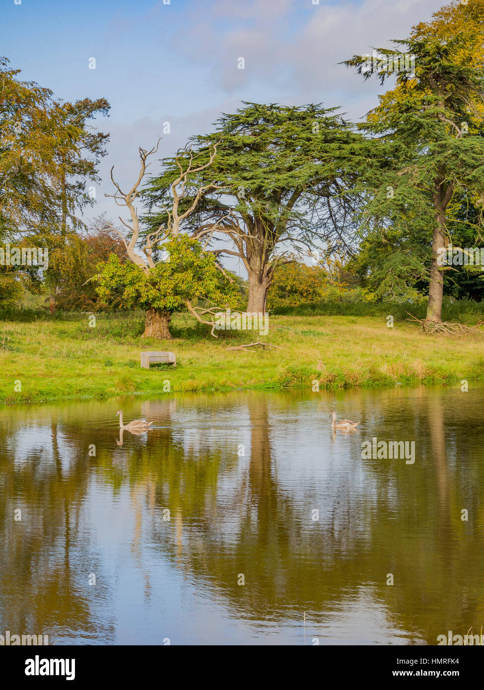 lake river water autumn Stock Photo - Alamy