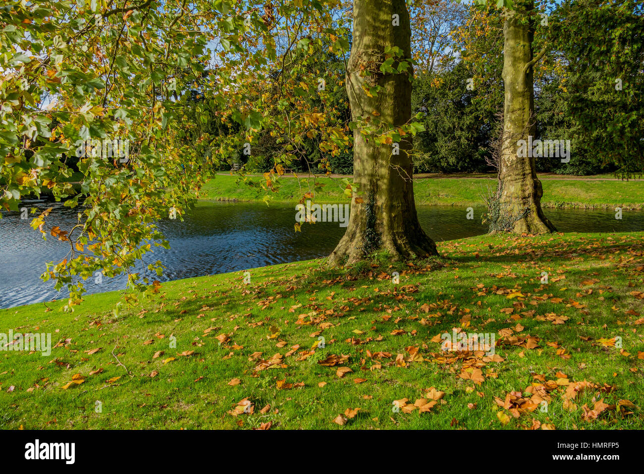 lake river water autumn Stock Photo - Alamy