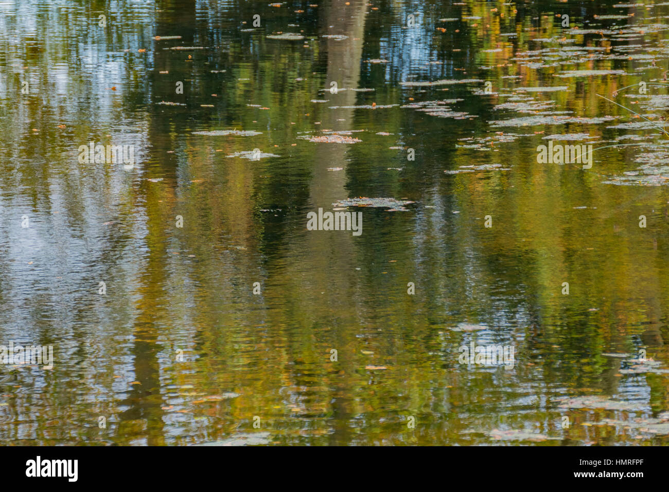 lake river water autumn Stock Photo - Alamy