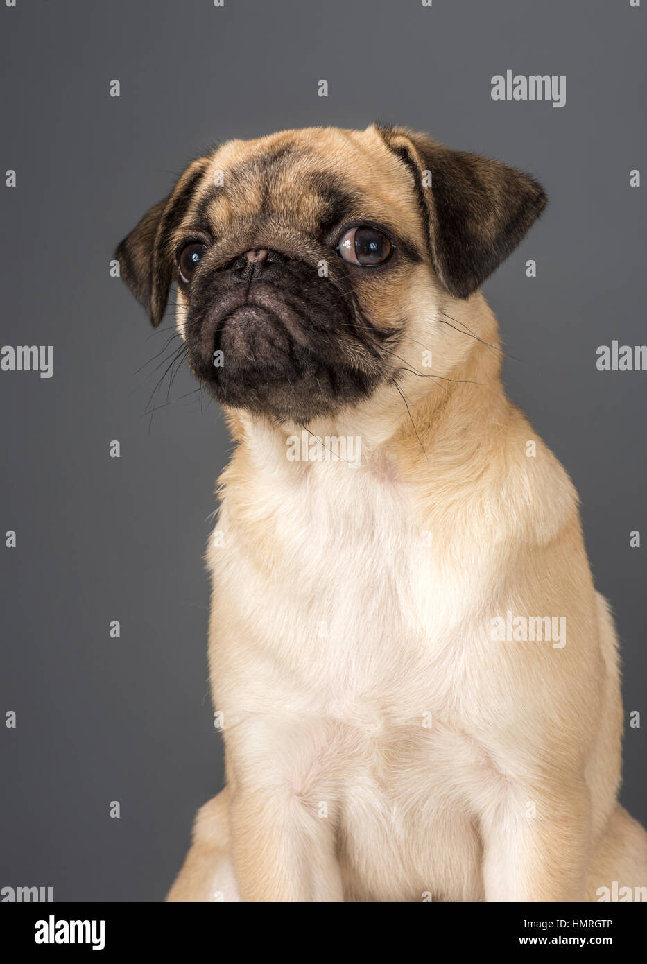 Downturned mouth hi-res stock photography and images - Alamy