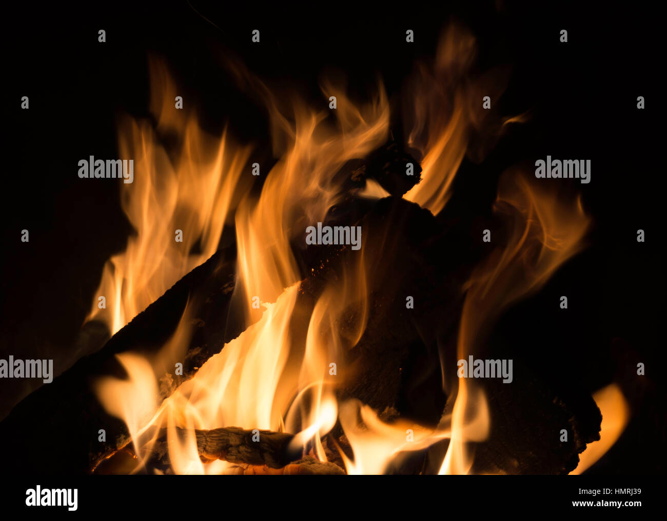 Roaring fire with orange yellow flames aglow on silhouetted fire logs ...
