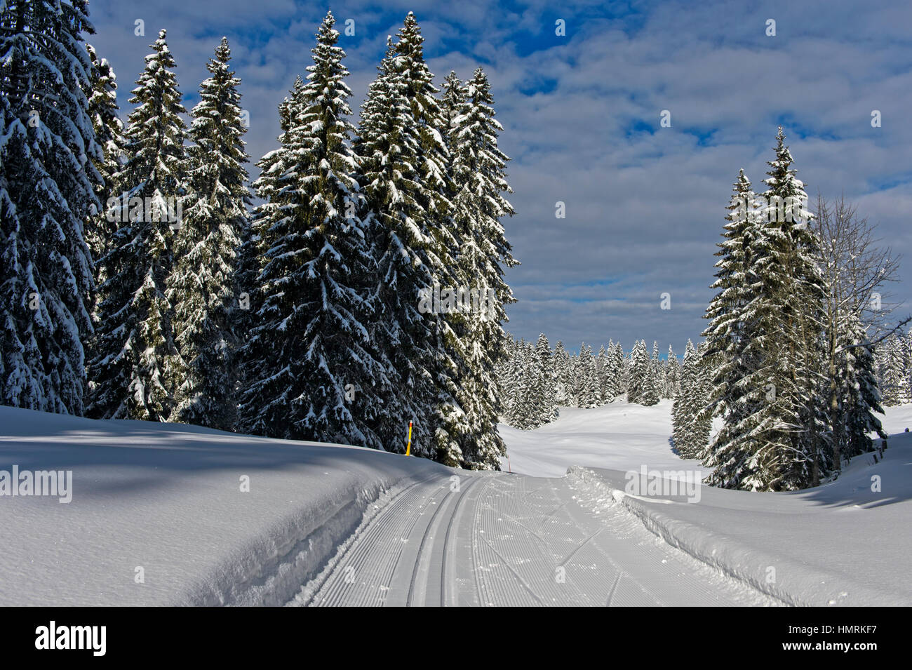 Cross-country skiing run of the Trans-Jura Swiss long-distance ski ...