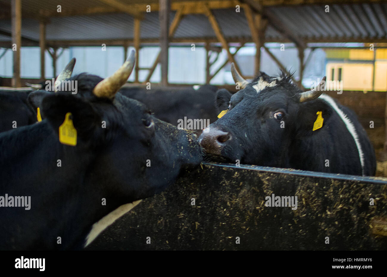 German farm federation hi-res stock photography and images - Alamy