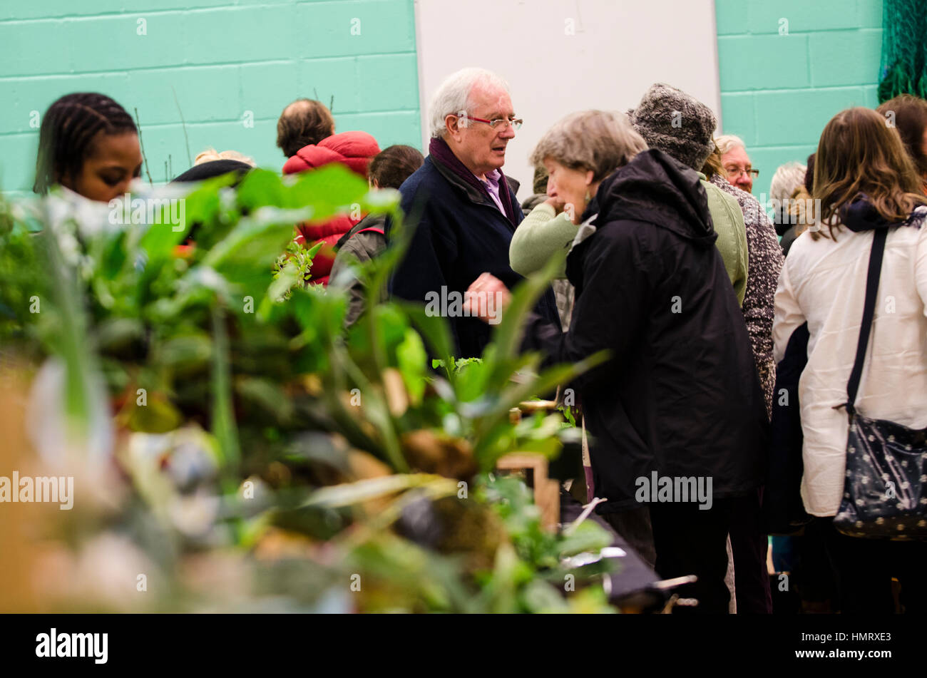 Brighton, East Sussex. 5th February 2017. Seedy Sunday, the UK’s ...