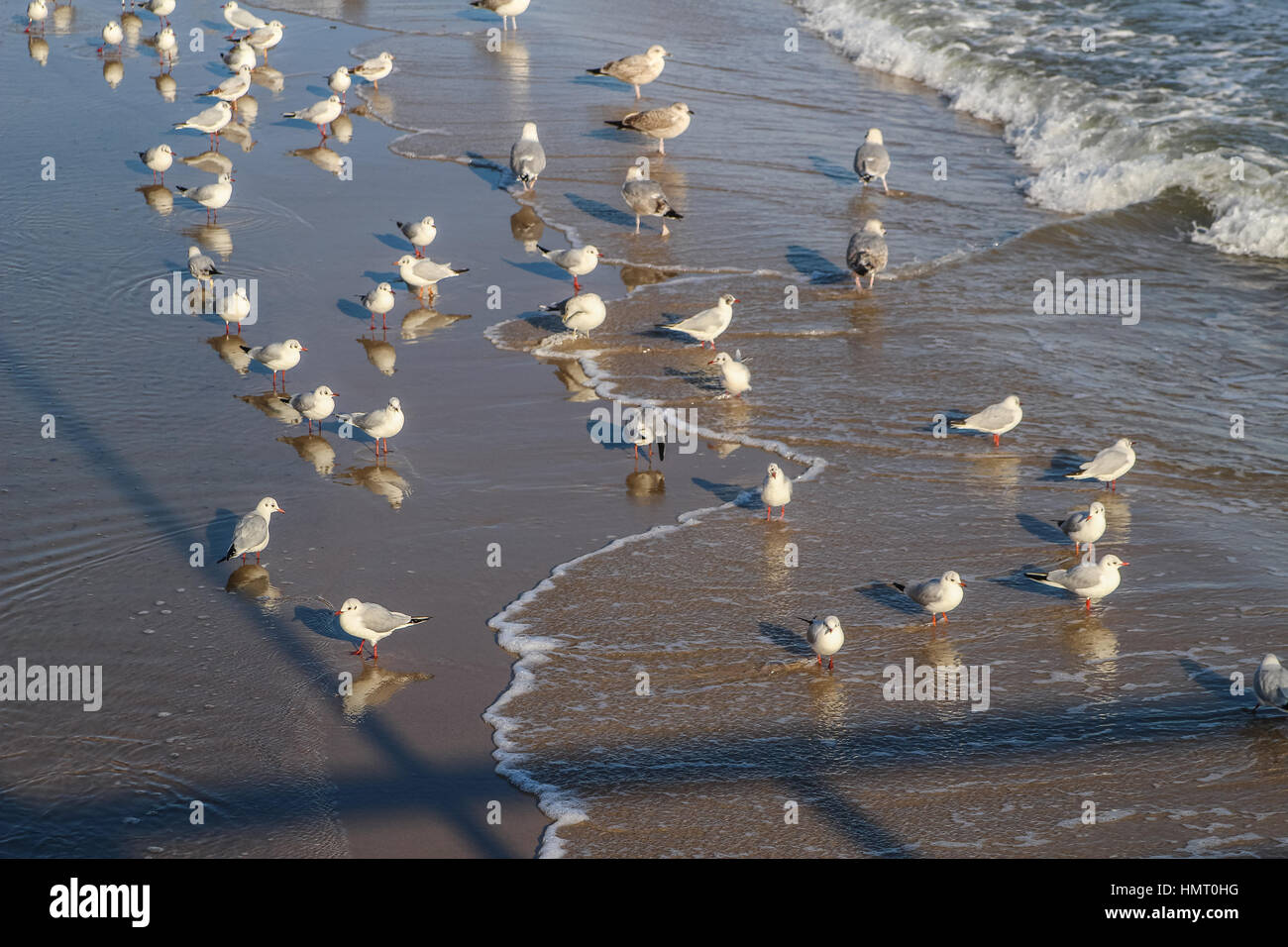 Gdynia, Poland 5 February 2017 People enjoy sunny but very cold weather ...