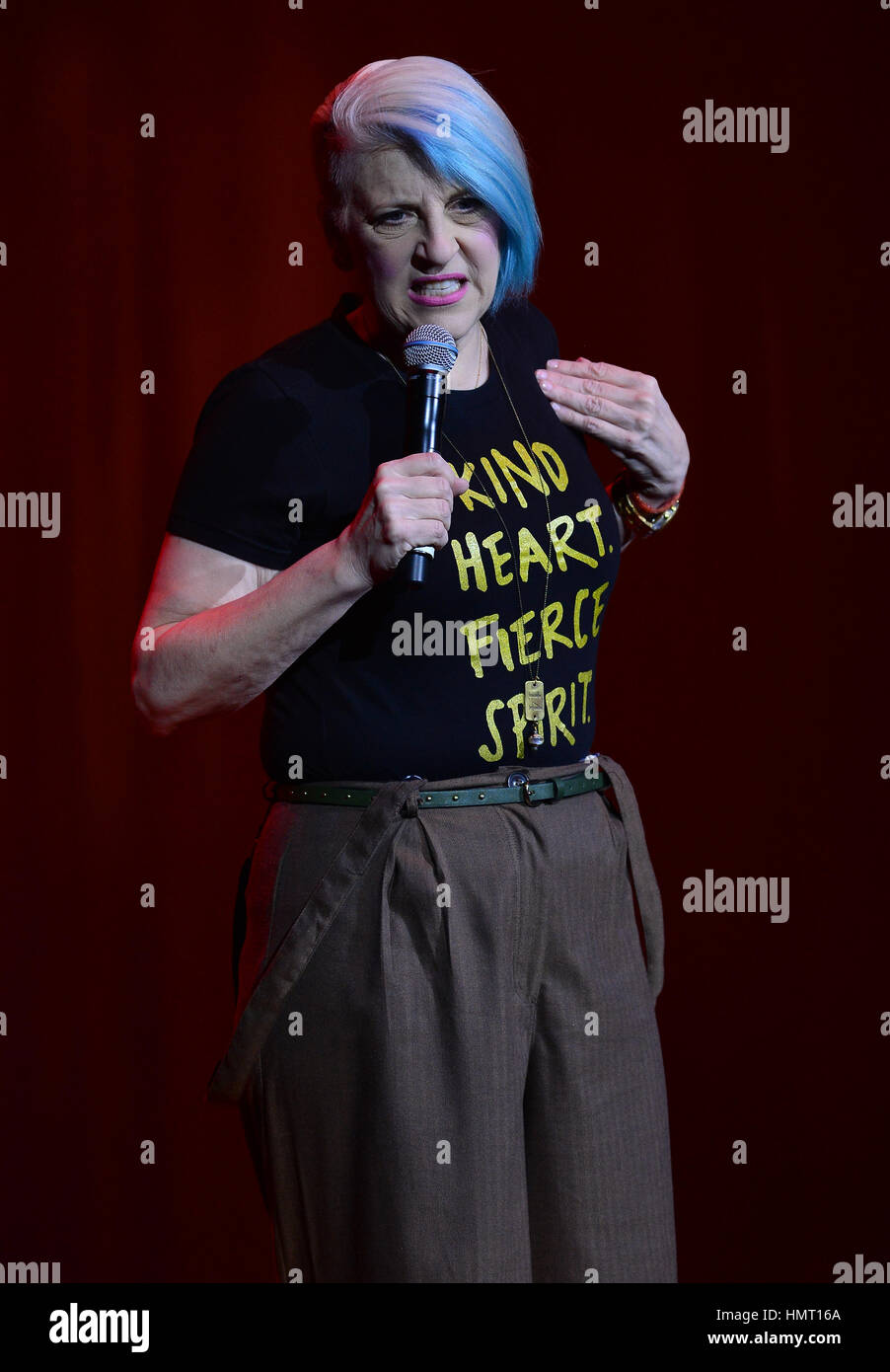 Hollywood, Florida, USA. 04th Feb, 2017. Comedian Lisa Lampanelli ...