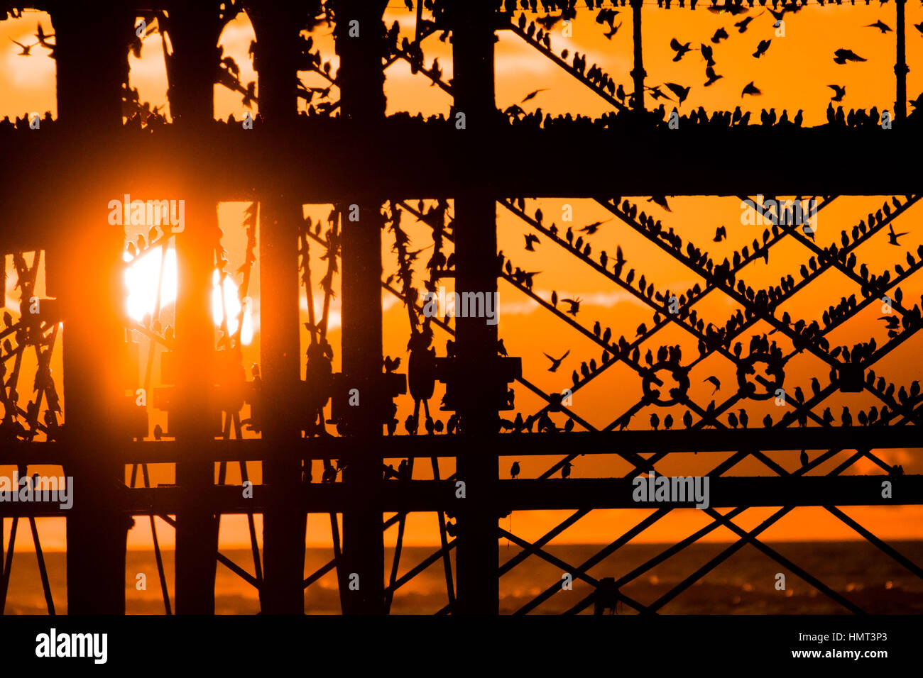 Keith morris starling hi-res stock photography and images - Alamy