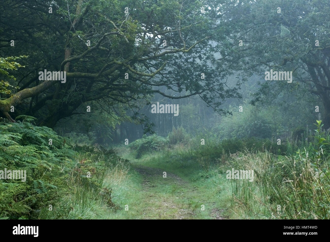 Reynoldston gower hi-res stock photography and images - Alamy