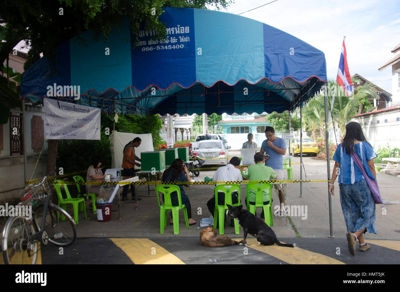 Constituent thai people use ballot for vote election drop in ballot box ...