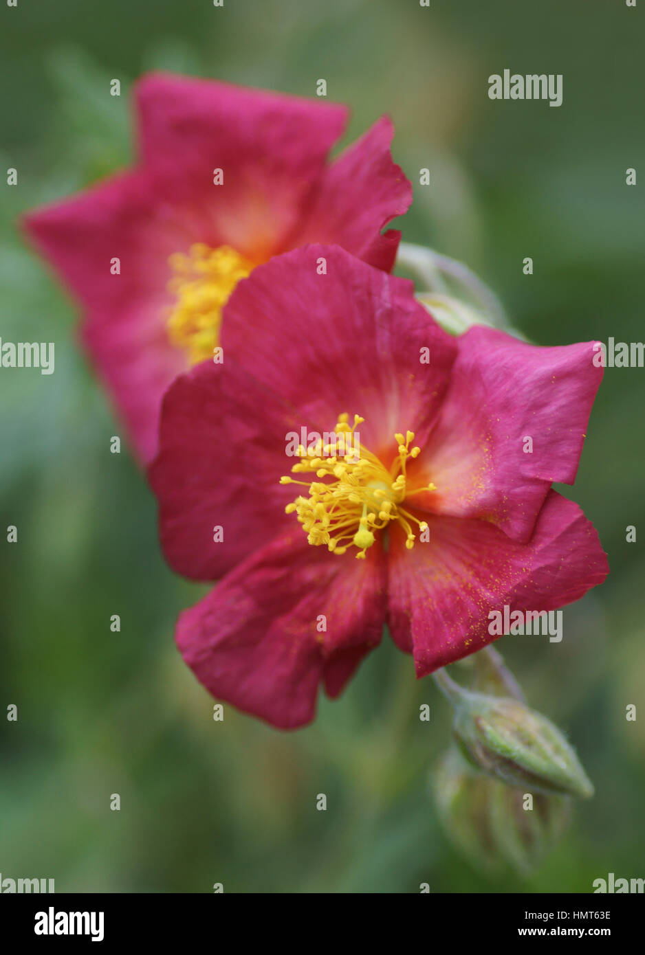 Ben ledi hi-res stock photography and images - Alamy