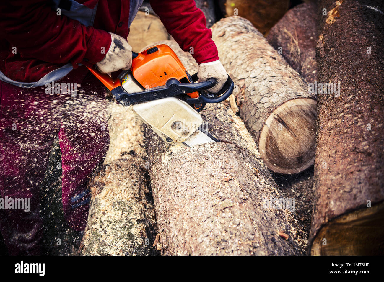 Lumber yard worker hi-res stock photography and images - Alamy