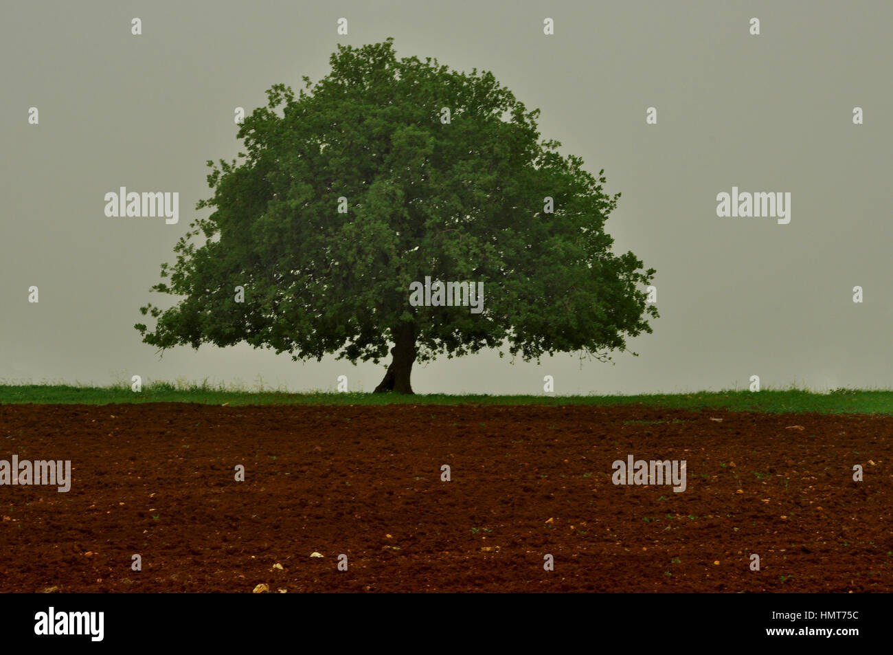 Unity in contrast hi-res stock photography and images - Alamy