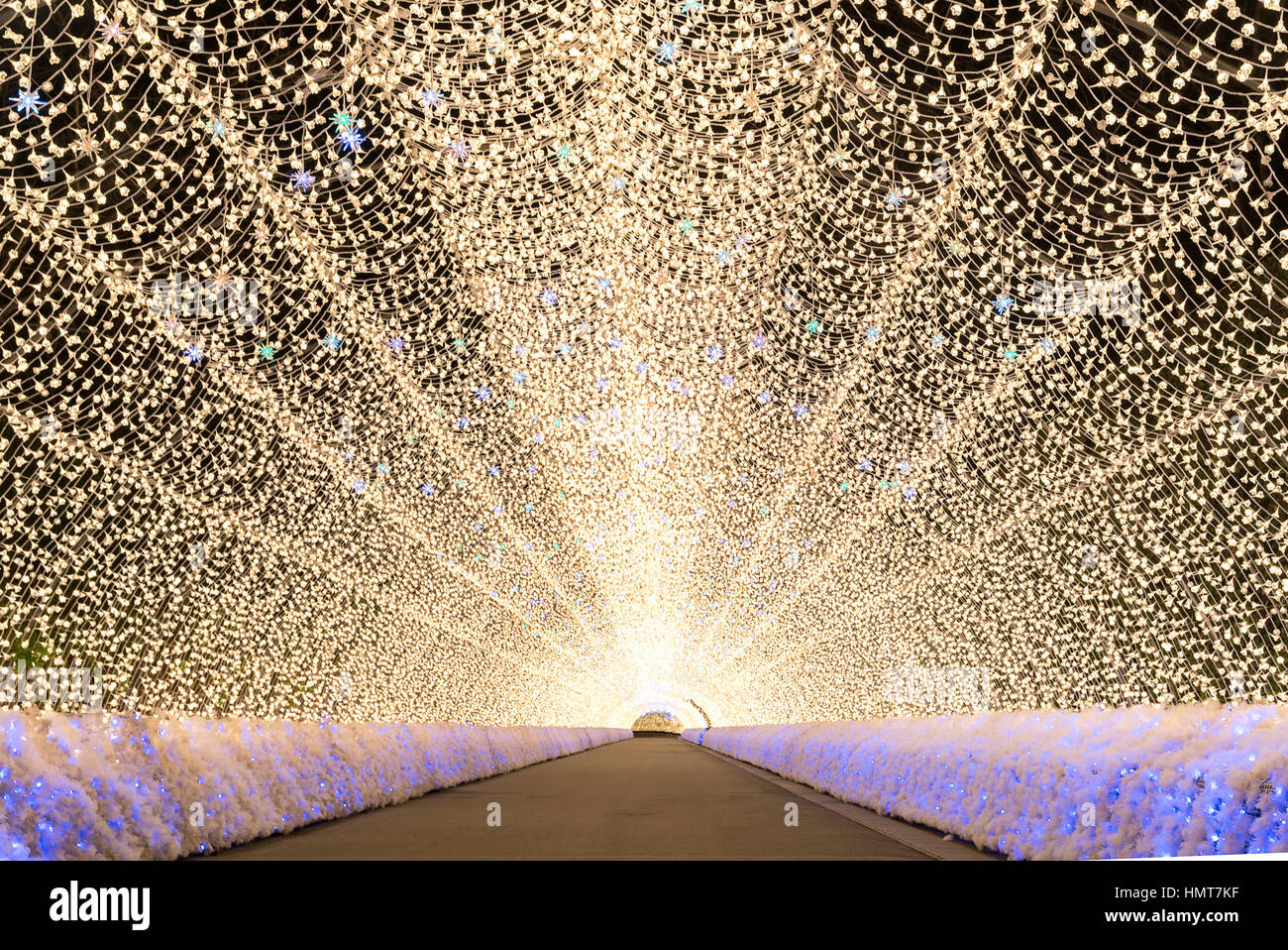 Nagoya, Japan. Nabana no Sato garden at night in winter Stock Photo - Alamy