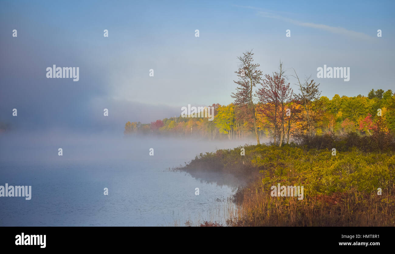 Misty enshrouded forest hi-res stock photography and images - Alamy
