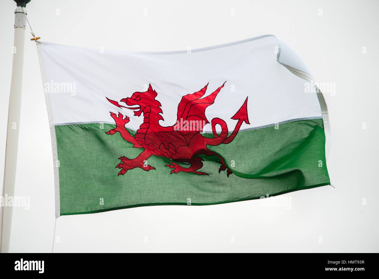 Wales Rugby Flag Stock Photos & Wales Rugby Flag Stock Images - Alamy