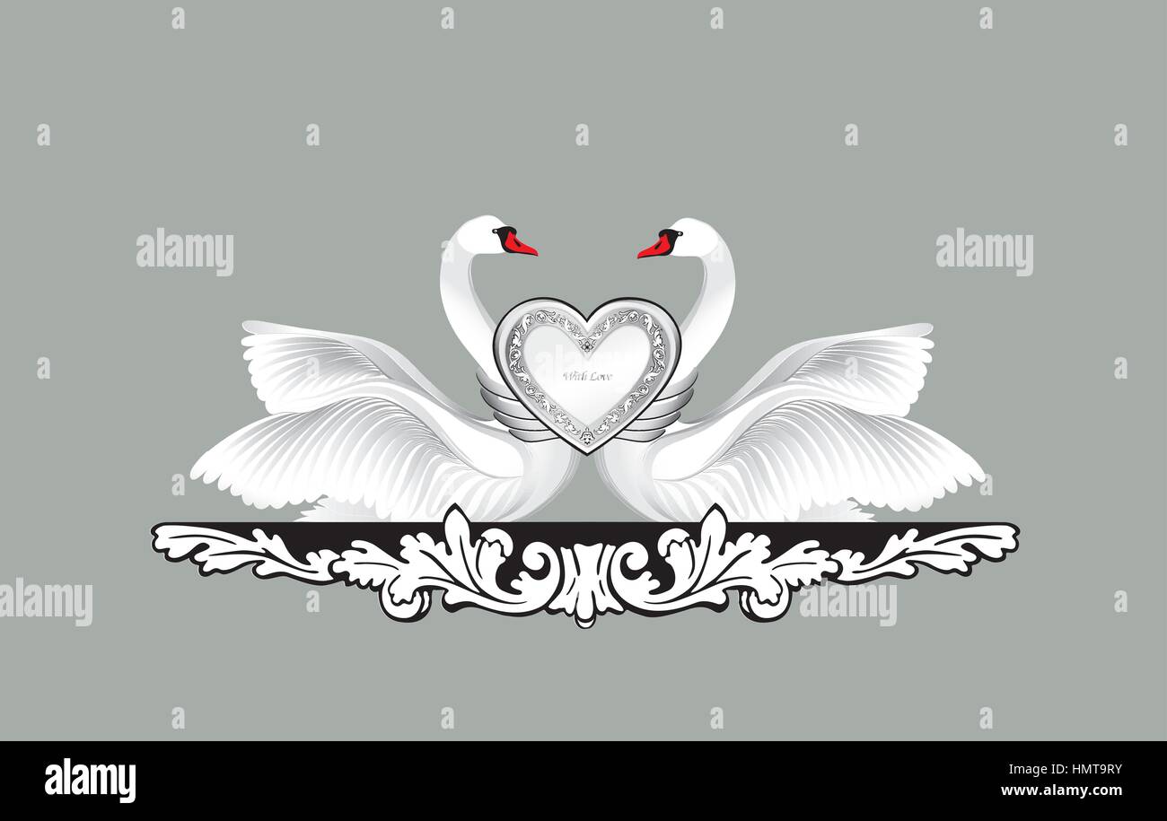 Two swans drawing Stock Vector Images - Alamy