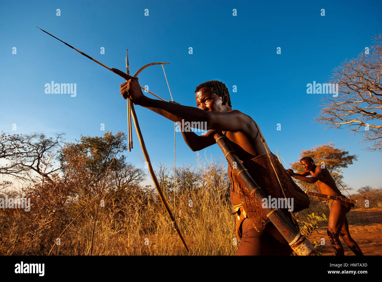 Ju/'Hoansi or San bushmen hunter simulates a hunt with bow and arrow at ...
