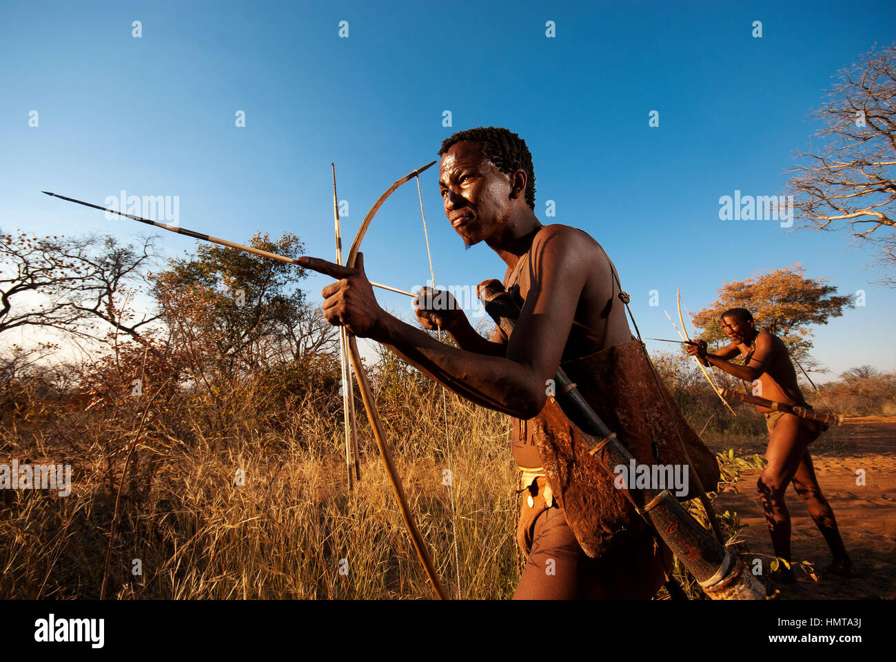Ju/'Hoansi or San bushmen hunter simulates a hunt with bow and arrow at ...