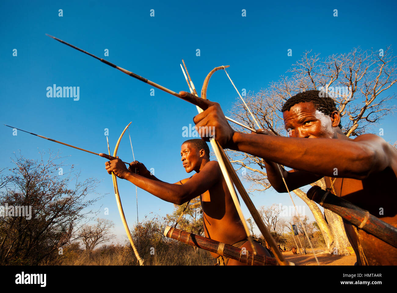 Ju/'Hoansi or San bushmen hunter simulates a hunt with bow and arrow at ...