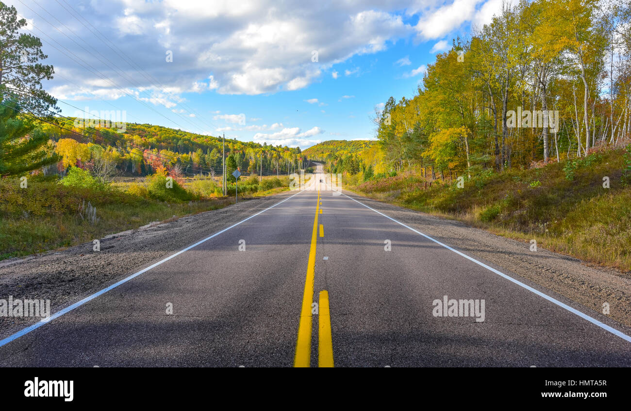 Sunny road to anywhere, single point perspective down a country highway ...