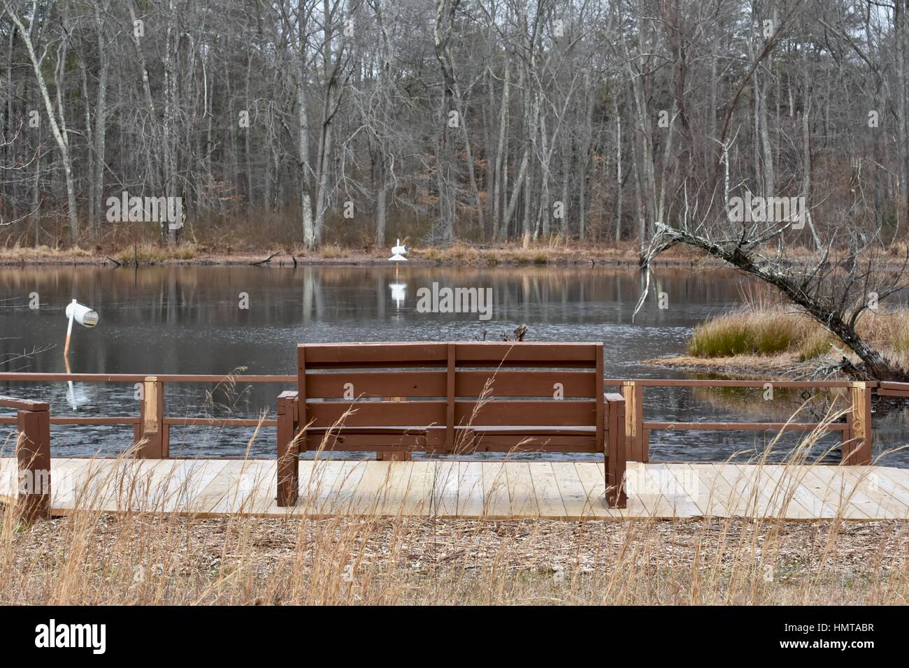 Wildlife observation bench overlooking the wetlands at the Patuxent ...
