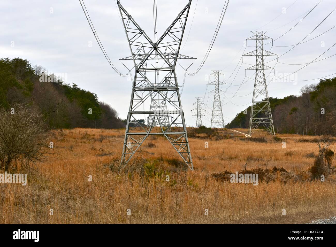 Power line towers at the Patuxent Research Refuge Stock Photo - Alamy