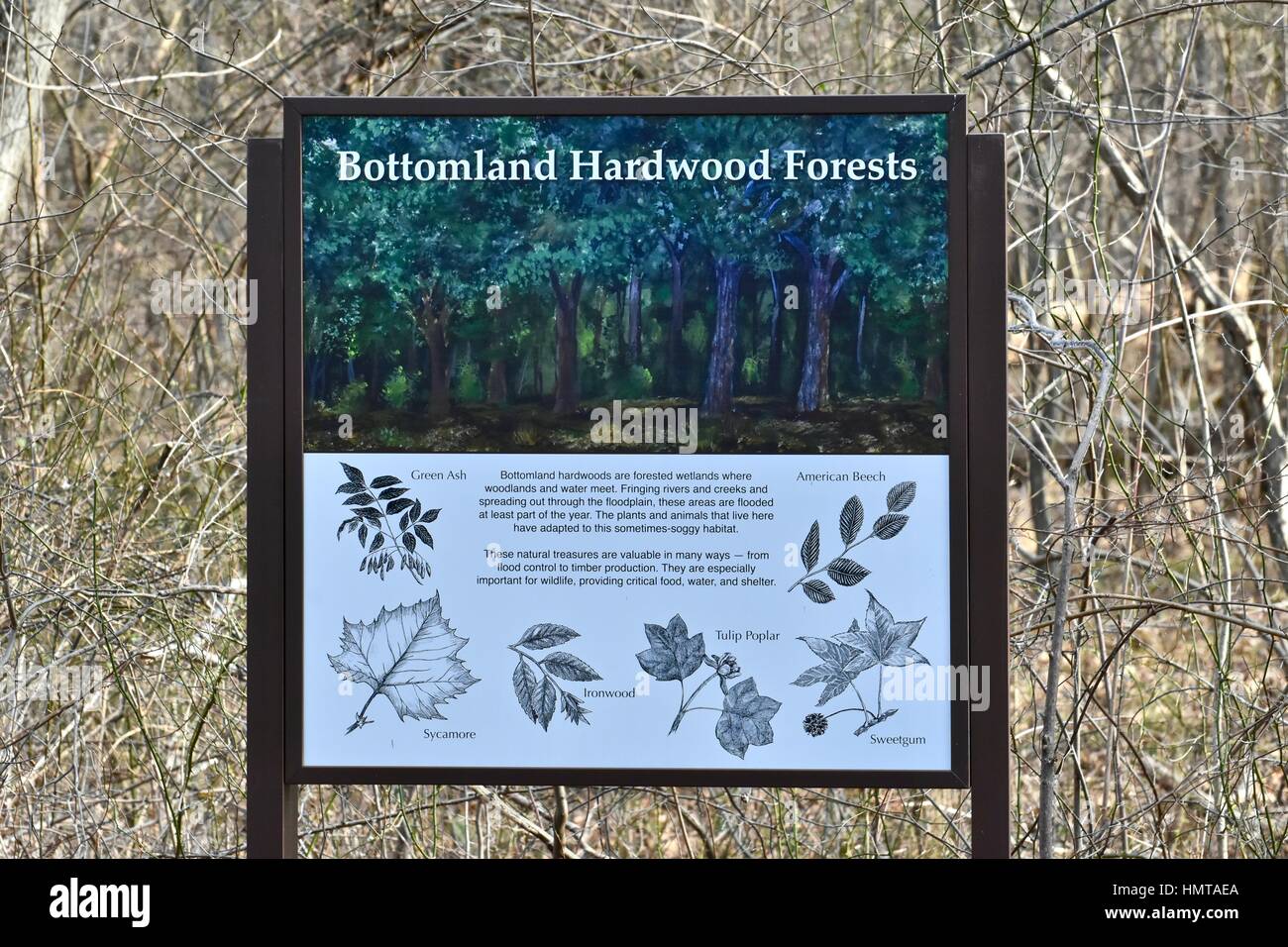 Bottomland Hardwood Forests sign at the Patuxent Research Refuge Stock ...