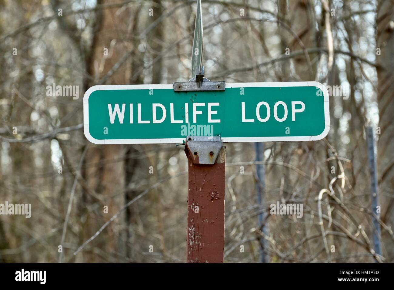 Wildlife loop hi-res stock photography and images - Alamy